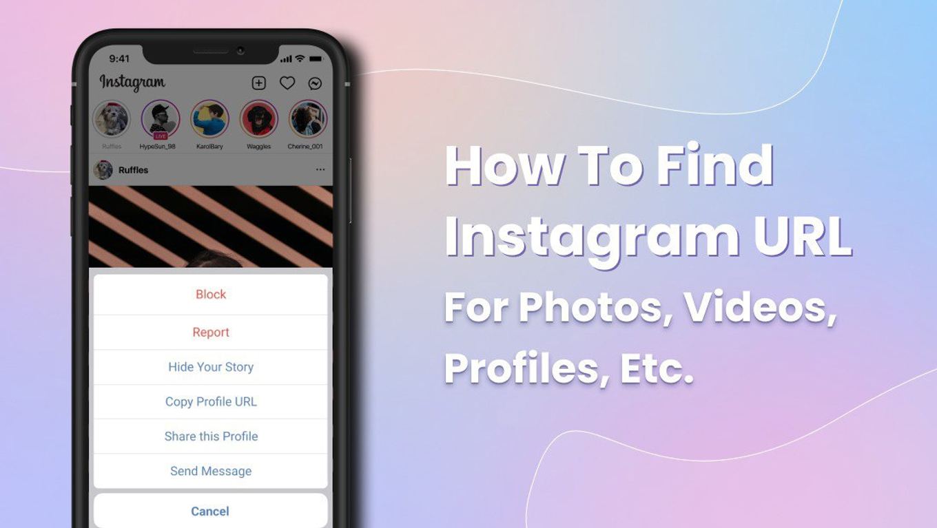 How to Find Instagram URL for Profile, Photos, Videos, etc. | Vista Social