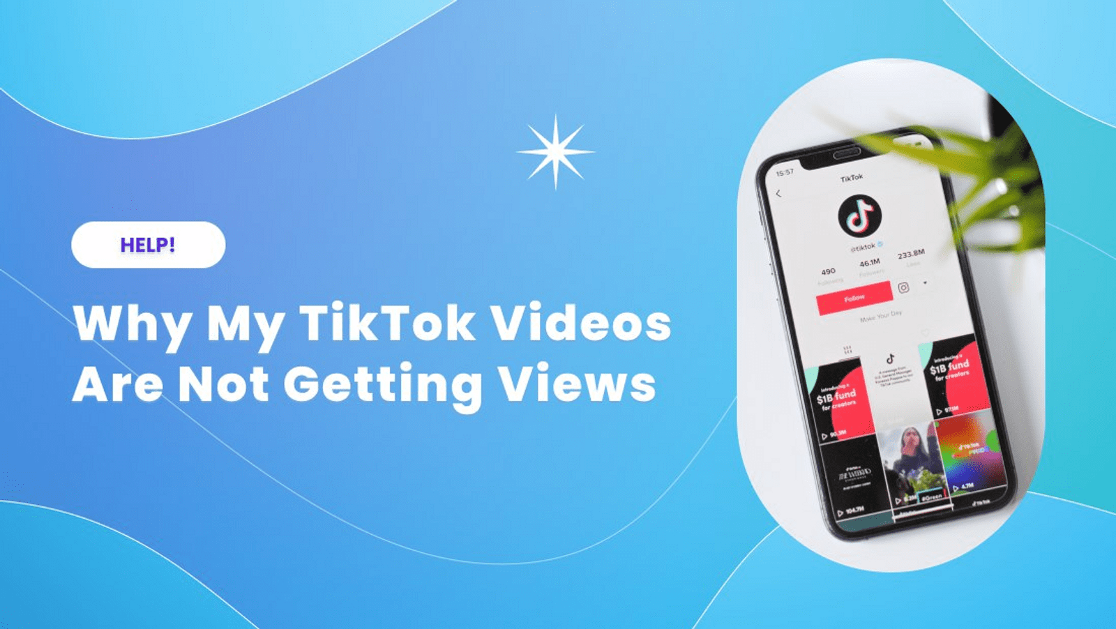 Help! Why My TikTok Videos Are Not Getting Views | Vista Social